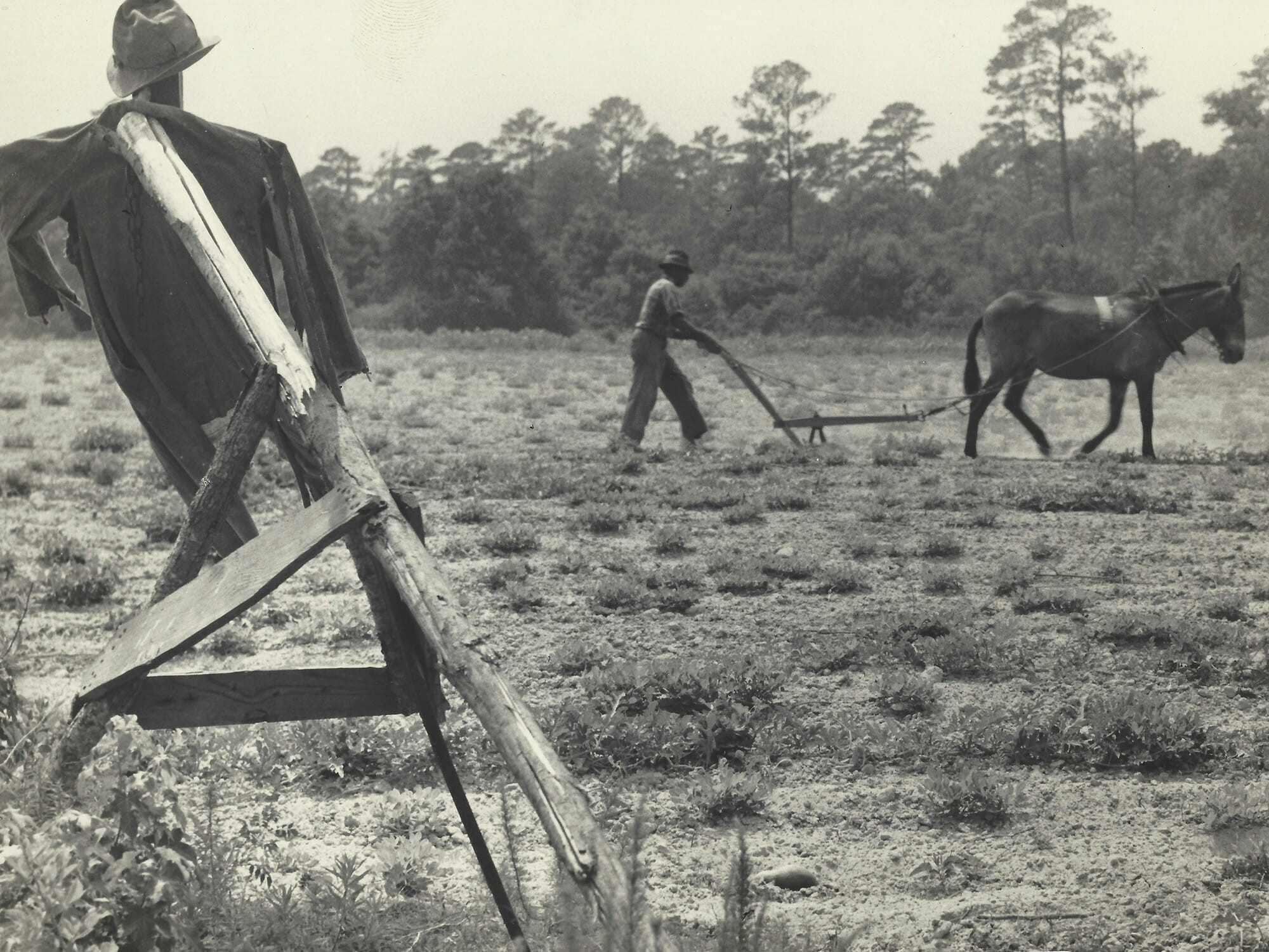 “I Just Quit”/ Rosalie Gwathmey | Redtree Times